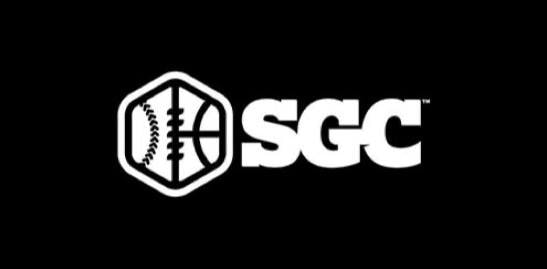 Standard Size Raw Card Grading – The Locker Room 78